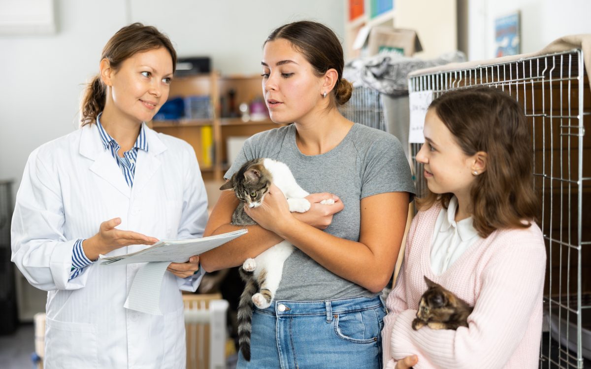 Effective Communication Skills for Veterinary Professionals - Family ...